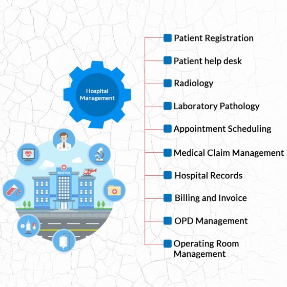 Hospital Management - website development services and training in ...